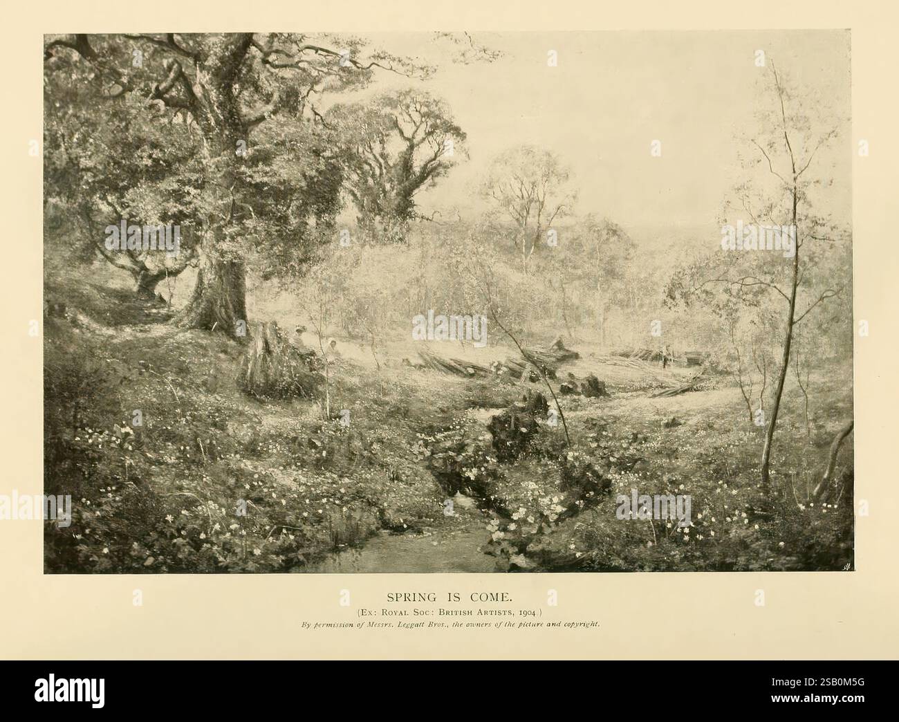 British trees London Hutchinson 1907 Great Britain trees Stock Photo ...