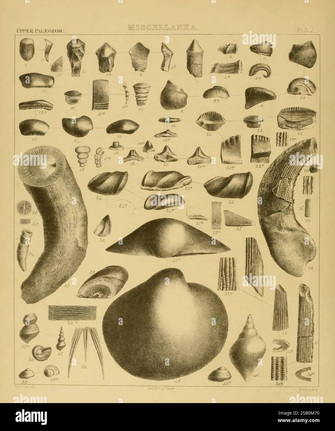 A synopsis of the classification of the British Palaeozoic rocks London ...