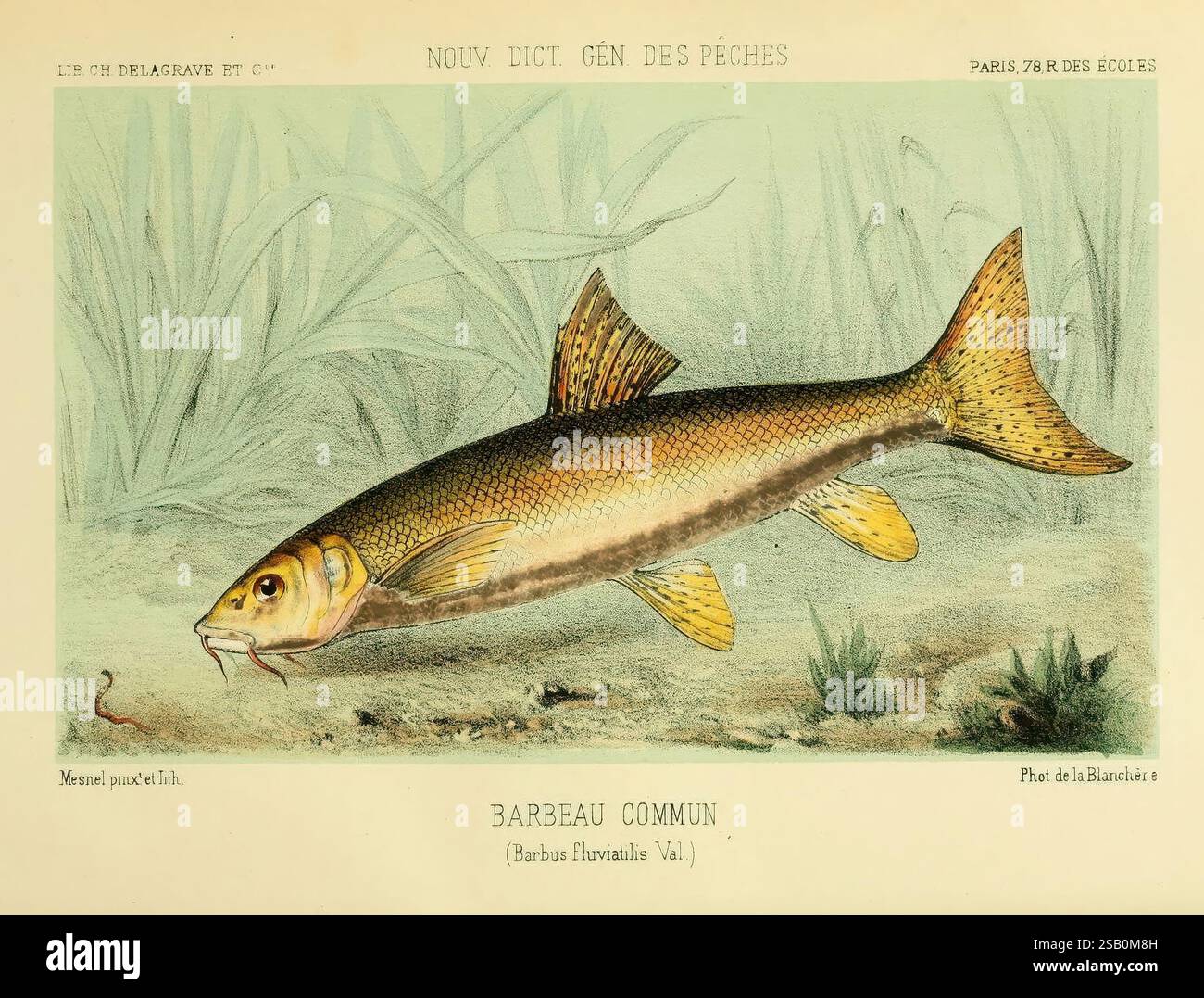 Substrate suggesting hi-res stock photography and images - Alamy