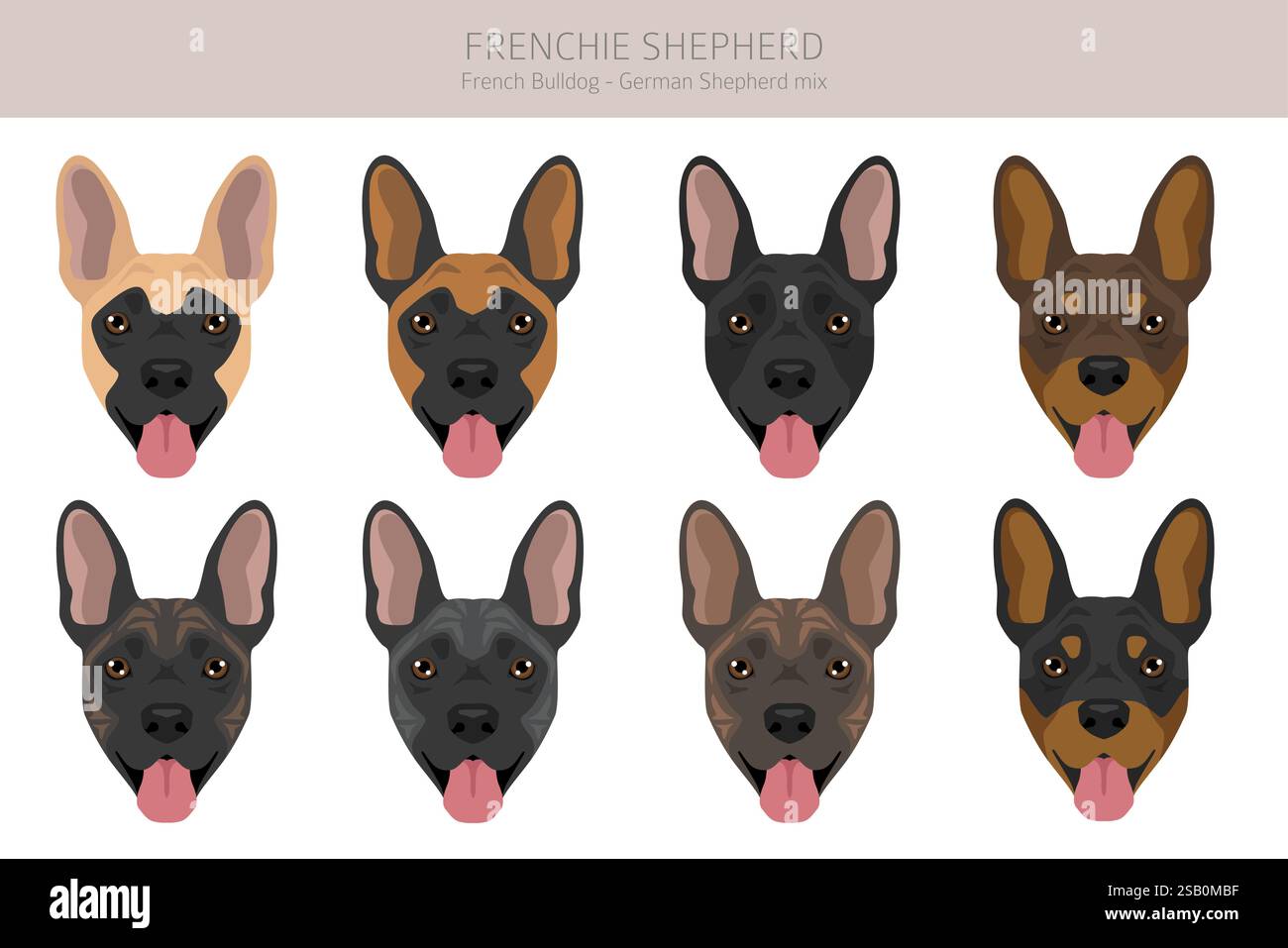Frenchie colors Stock Vector Images - Alamy