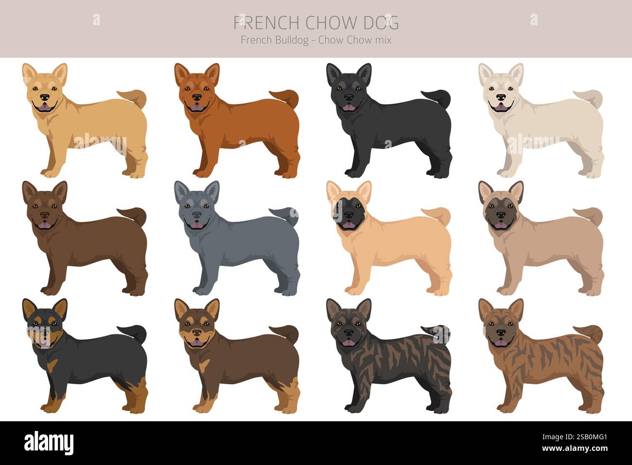 French chow dog clipart. French Bulldog - Chow chow mix. All possible ...
