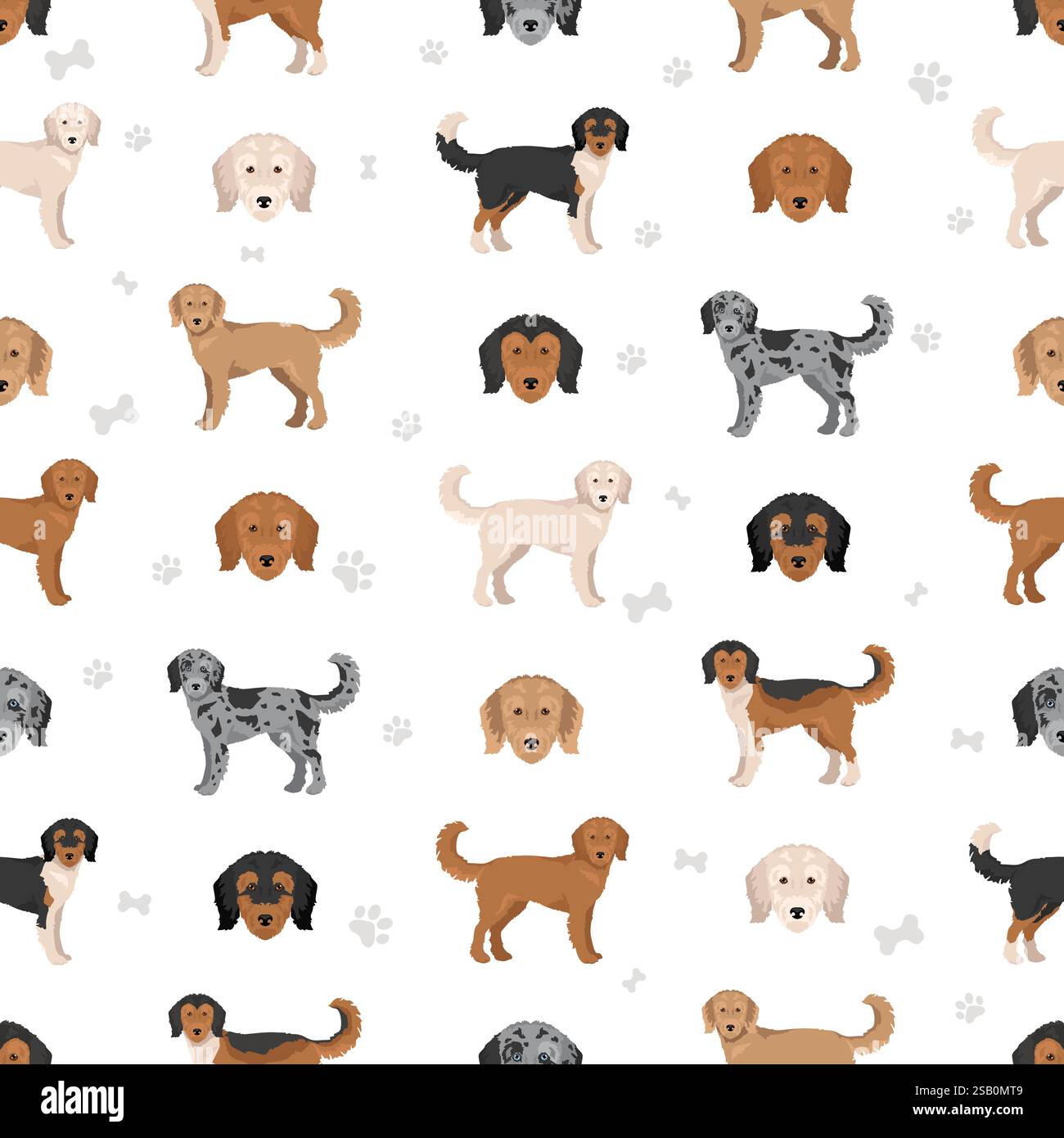 Cadoodle seamless pattern. Rough Collie Poodle mix. Different coat ...