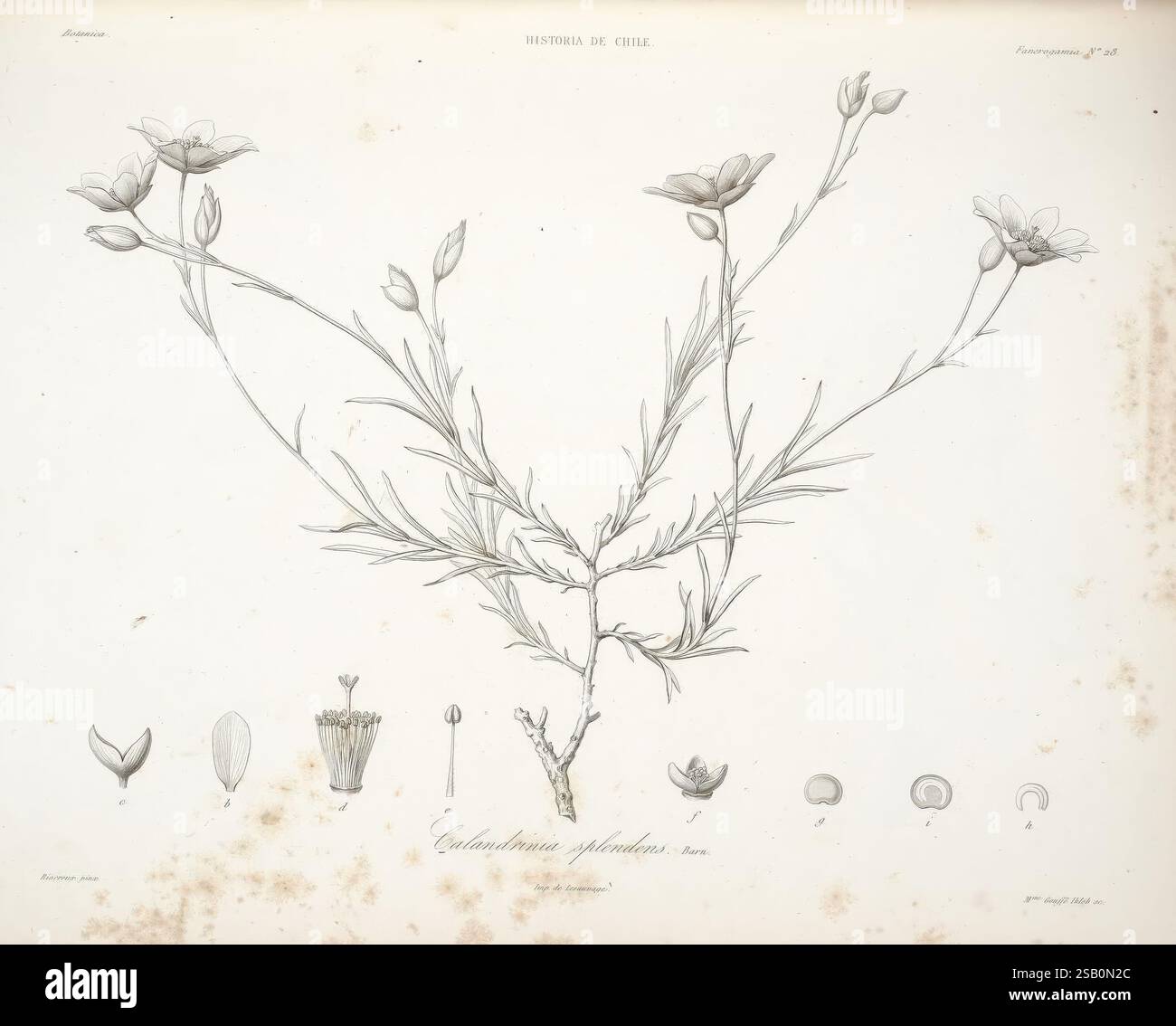 Base fisica hi-res stock photography and images - Alamy