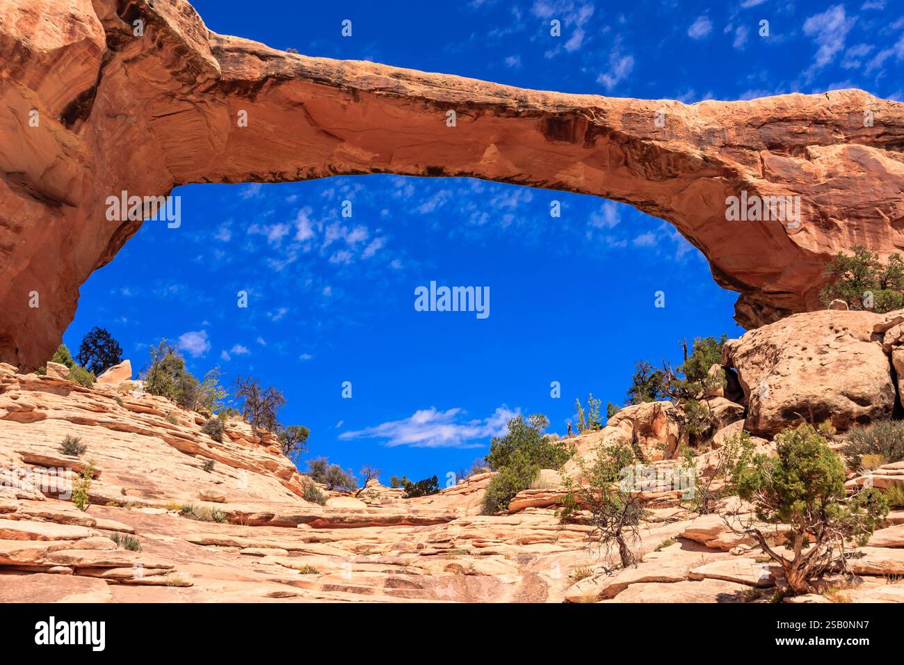 Natural Bridges National Monument is a U.S. National Monument located ...