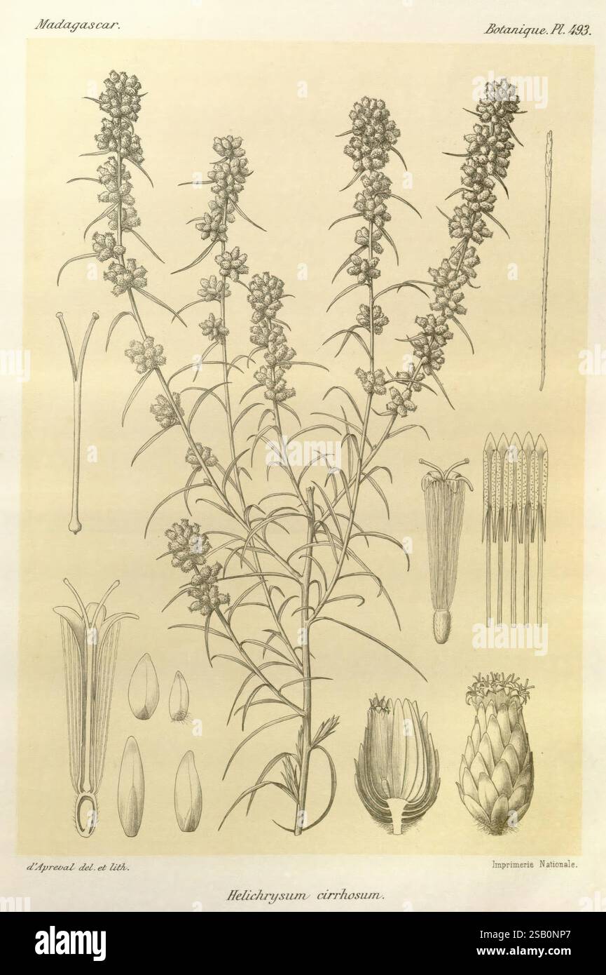 Histoire physique, naturelle, et politique de Madagascar Paris, Impr ...