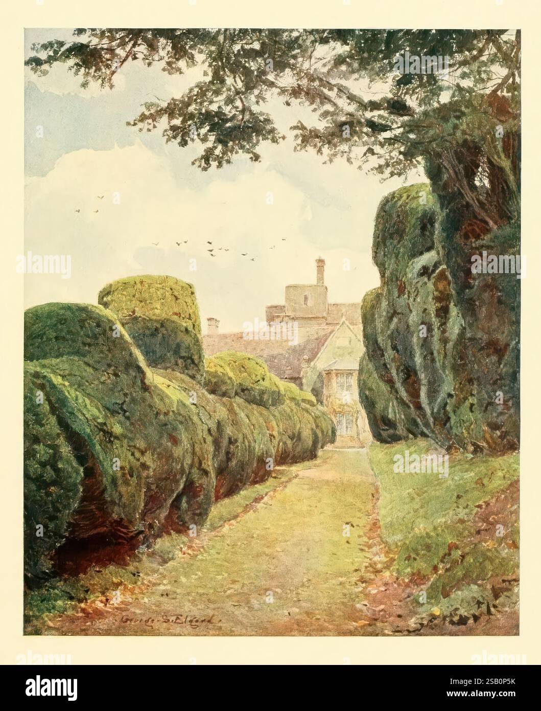 1904 gardening hi-res stock photography and images - Alamy