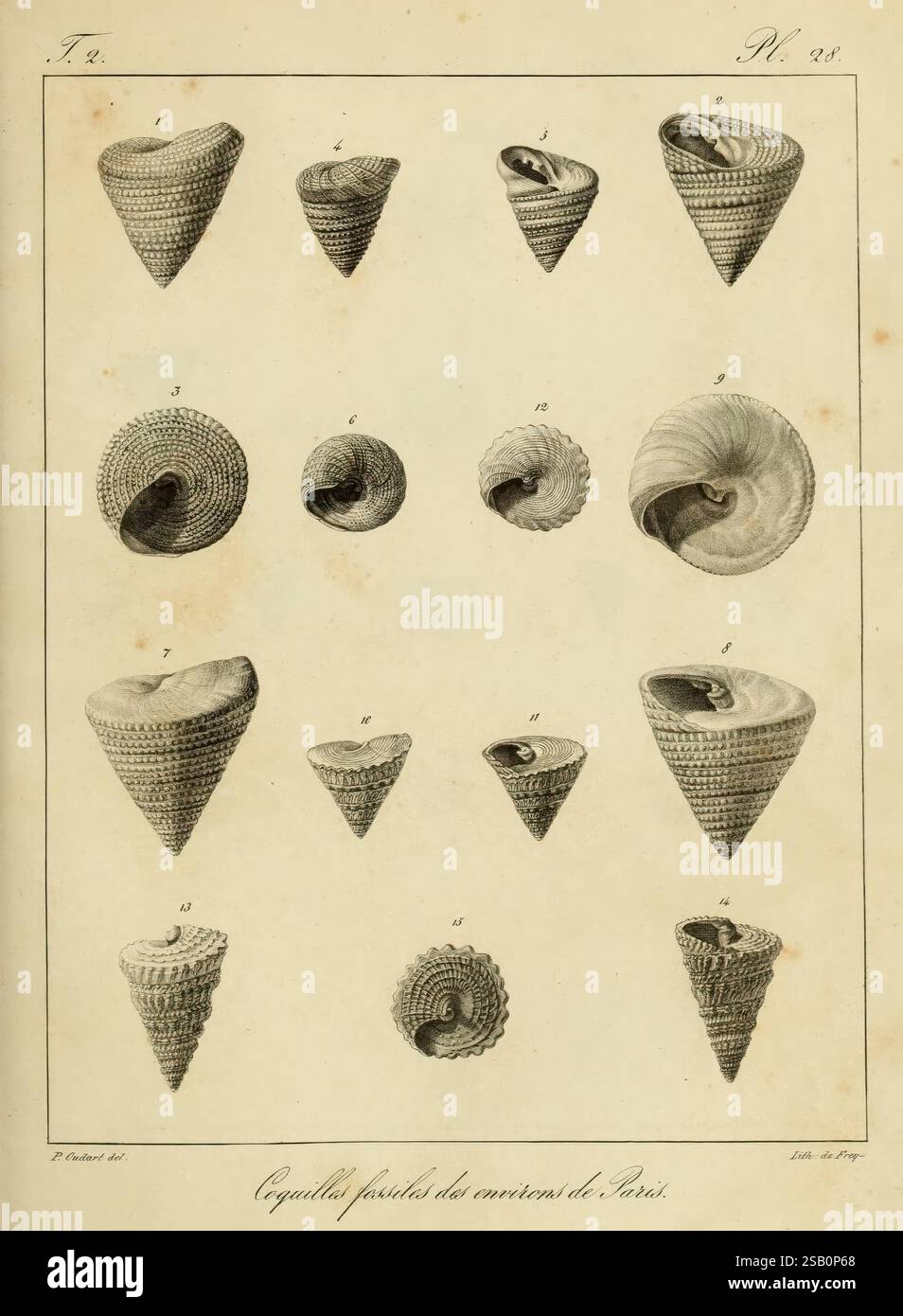 Chez bechet jeune 1824 1837 hi-res stock photography and images - Alamy