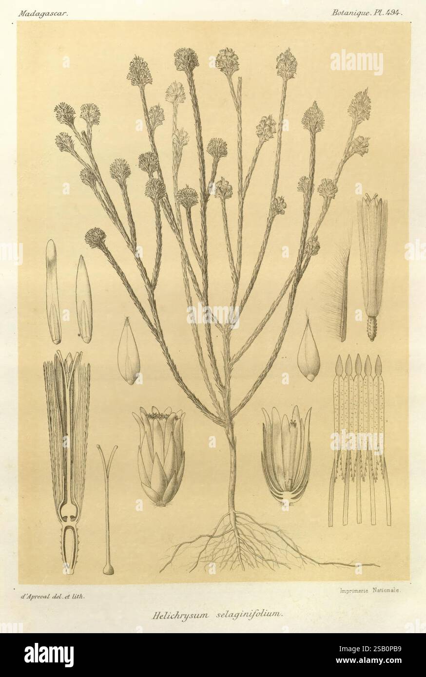 Histoire physique, naturelle, et politique de Madagascar Paris, Impr ...