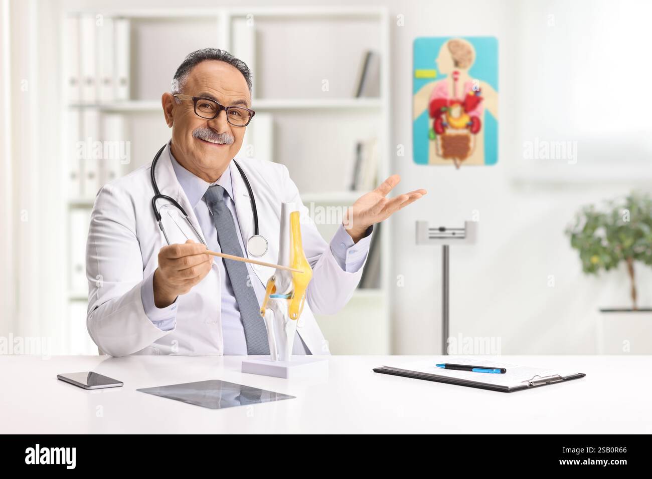 Doctor holding human skeleton model hi-res stock photography and images ...