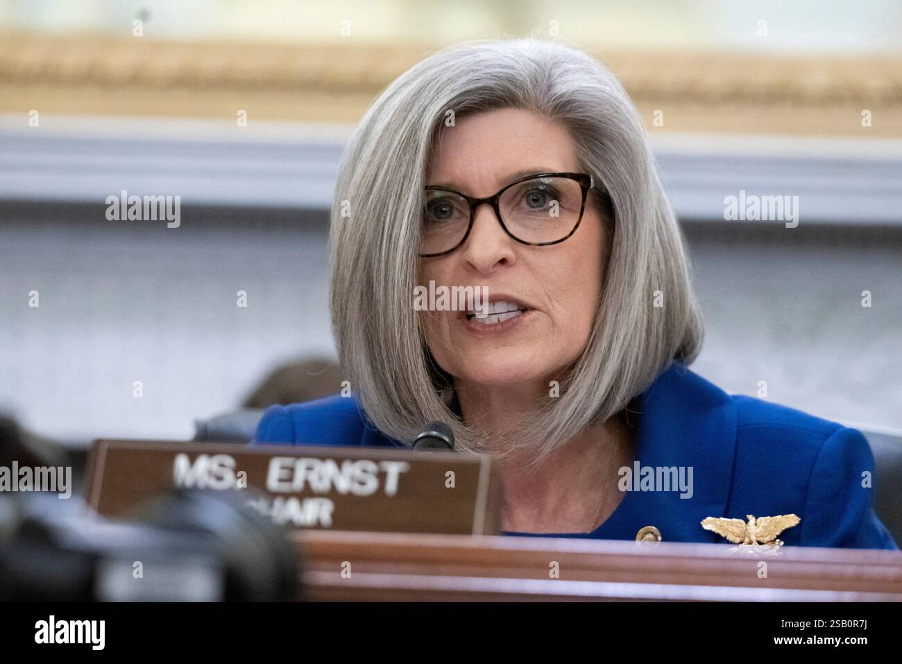 Us senator joni ernst hi-res stock photography and images - Alamy
