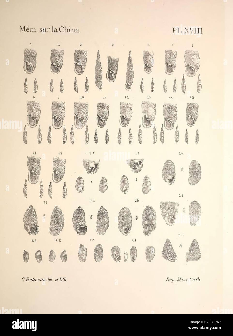 Notes sur les mollusques terrestres de la Vallée du Fleuve Bleu Chang ...