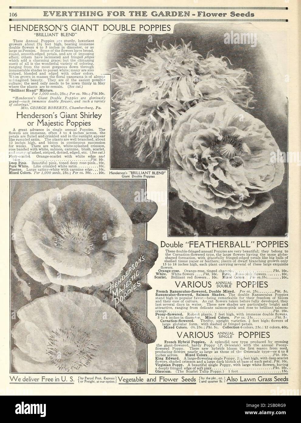 Hendersons giant double poppies hi-res stock photography and images - Alamy