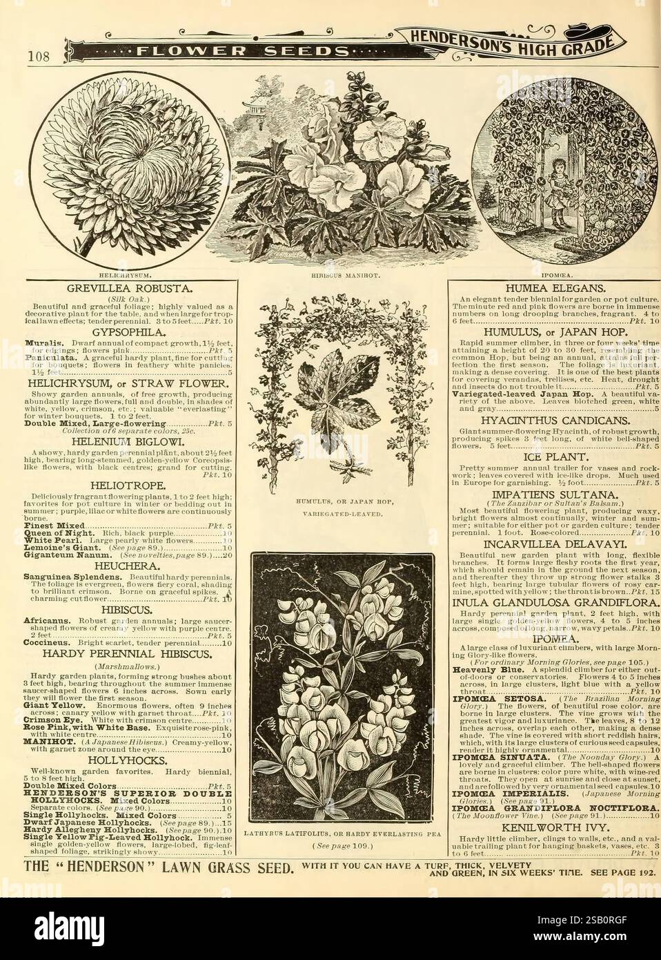 Everything, for the, garden, New York, Peter Henderson & Co, 1902 ...