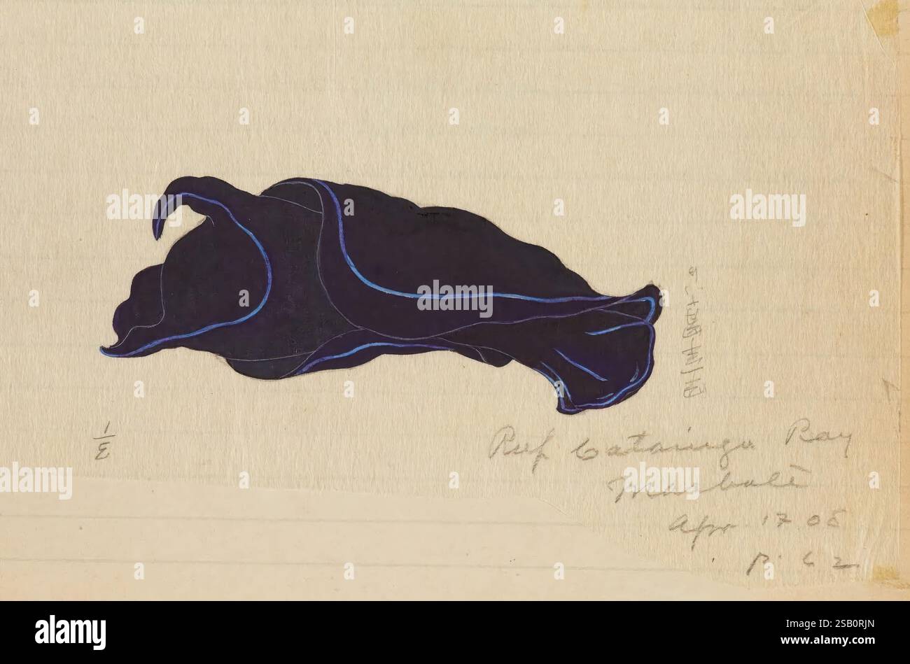 Notes Description Specimens Collected Philippine Expedition Steamer ...