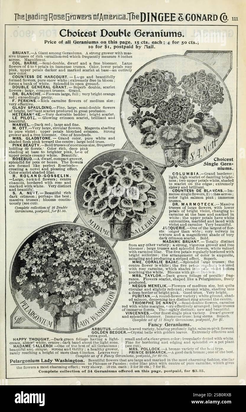 Showcases four distinct varieties hi-res stock photography and images ...