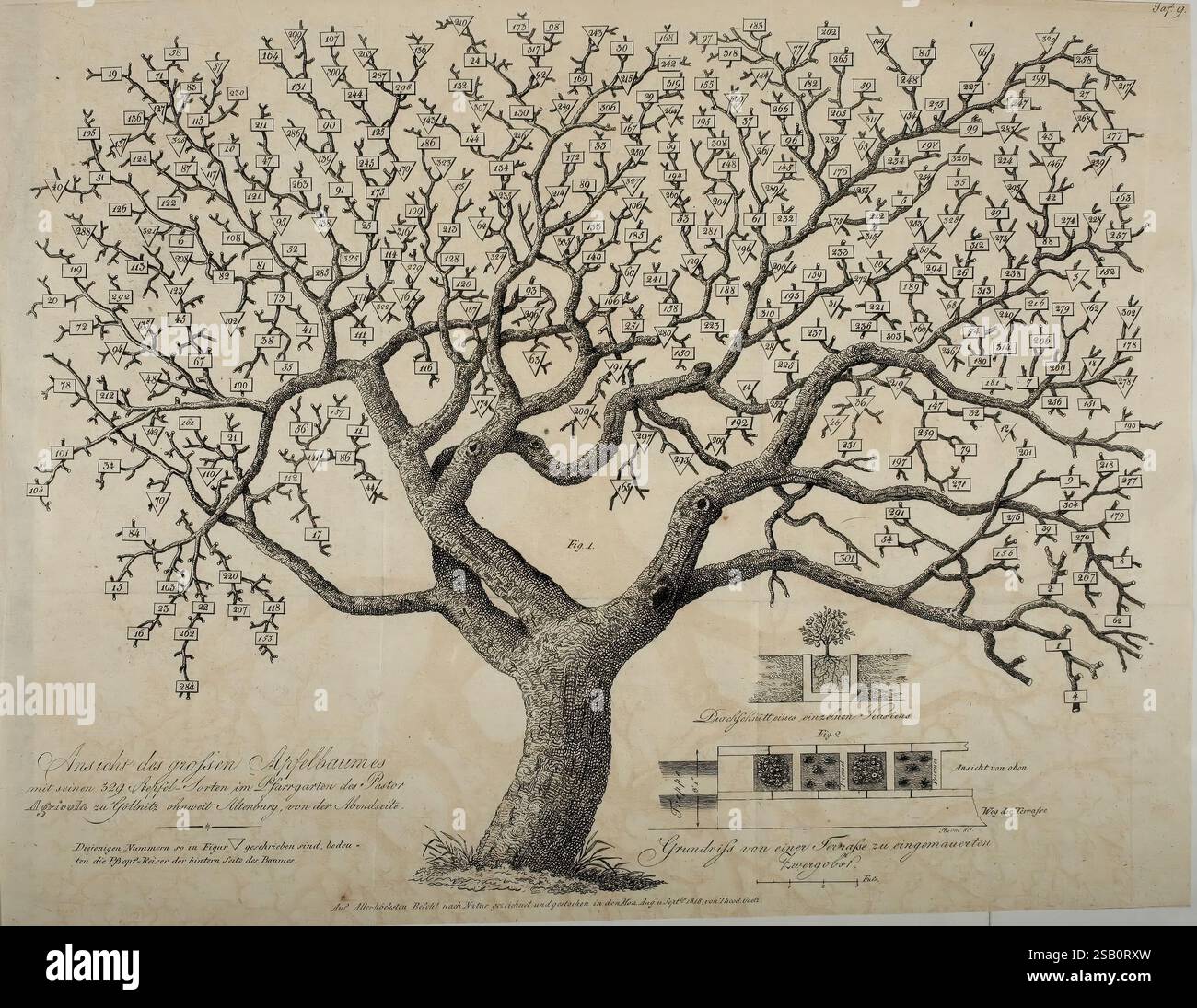 Fortsetzung des Allgemeinen Teutschen Garten-Magazins, Weimar, Im ...