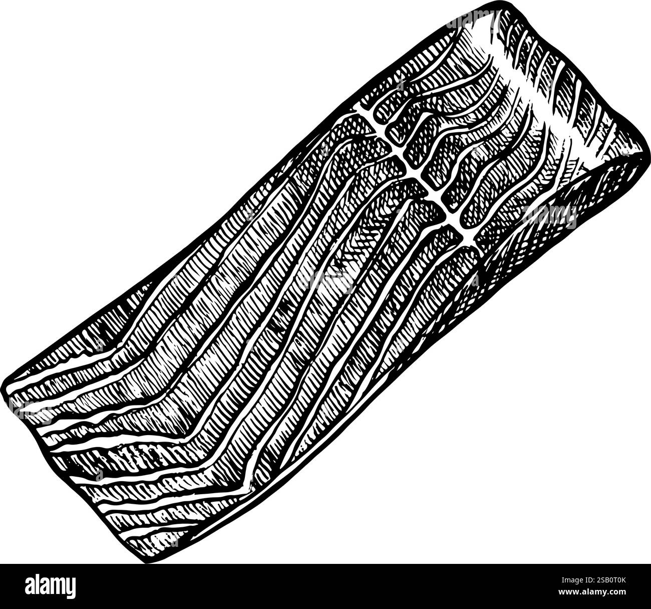 A butchered piece of fish fillet. A hand-drawn vector graphic ...