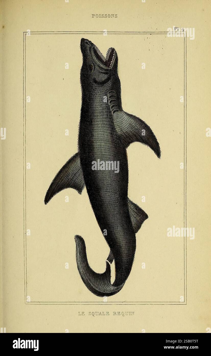 Oeuvres du comte de Lacépède, Paris, P. Duménil, 1836, natural history ...