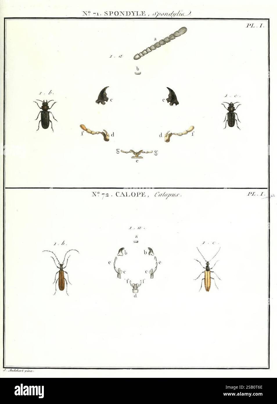 Entomologie ou Histoire naturelle des insectes, Paris, Imp. Baudouin ...
