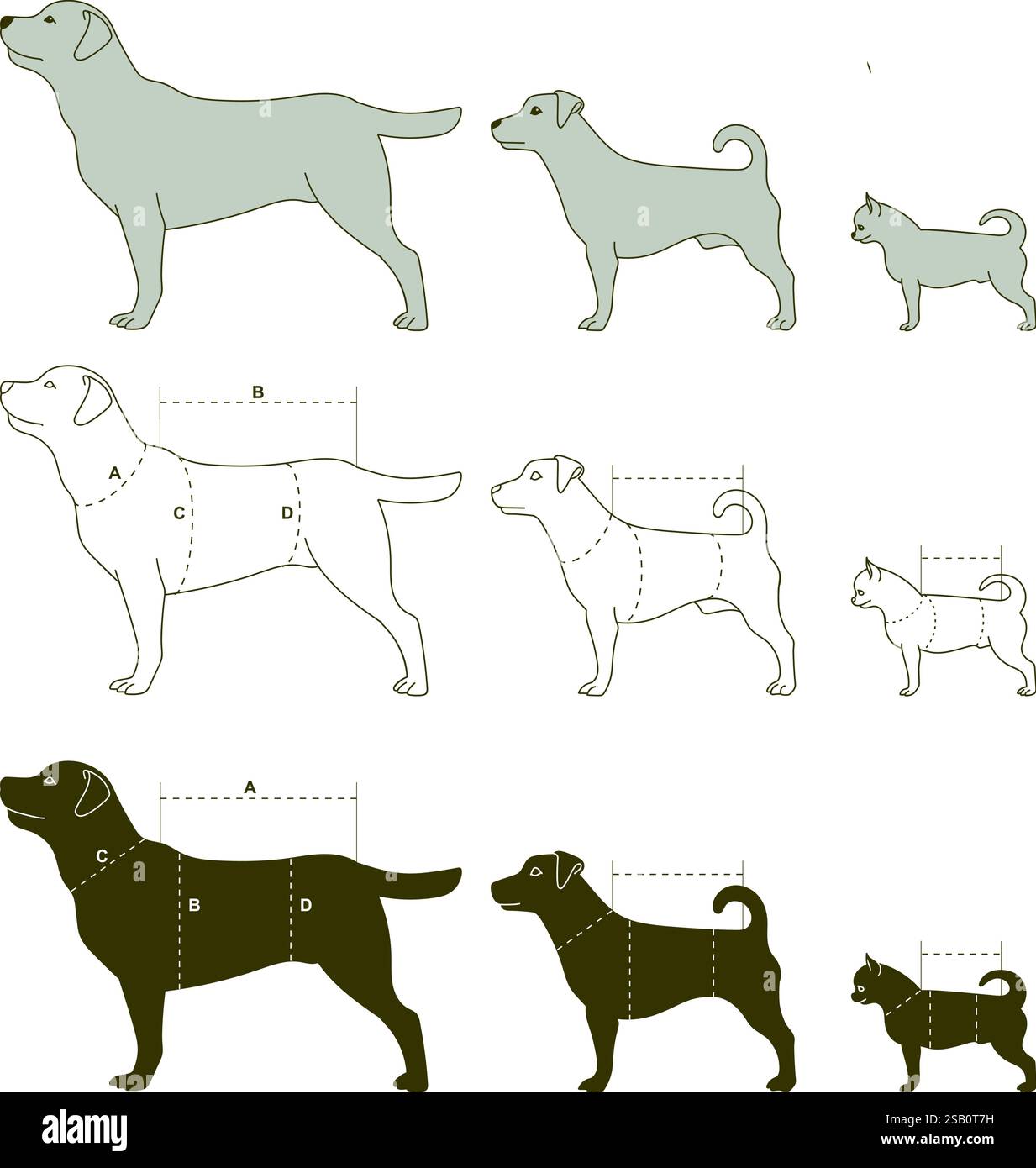 Various dog measurements for Size chart for Giant, medium and small ...