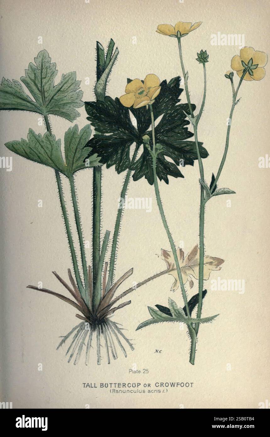 Labeled plate identifies hi-res stock photography and images - Alamy