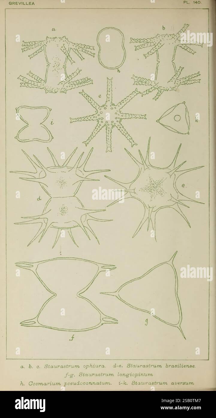 Labeled figure highlights distinct shapes hi-res stock photography and ...