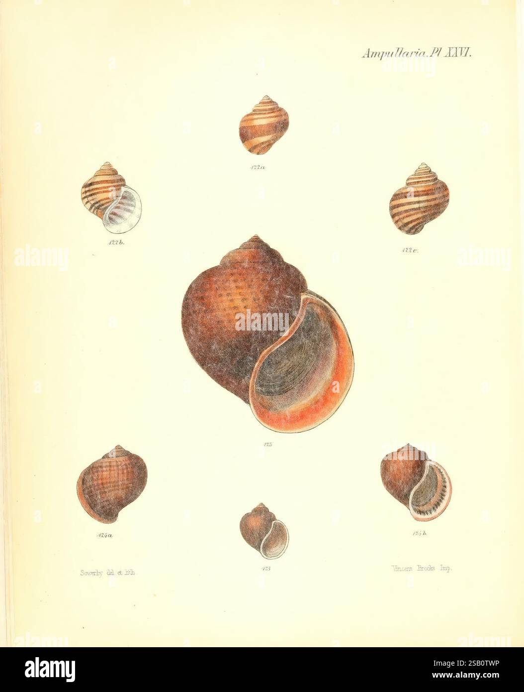 Diverse orientations hi-res stock photography and images - Alamy