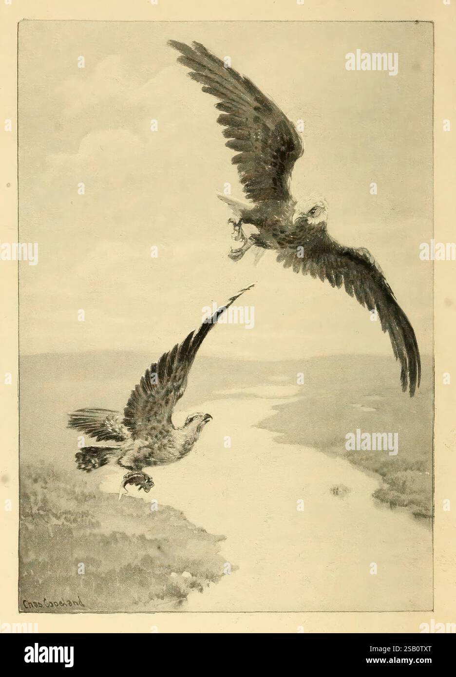 Wilderness ways, Boston, U. S. A, Ginn & company, 1900, animal behavior ...