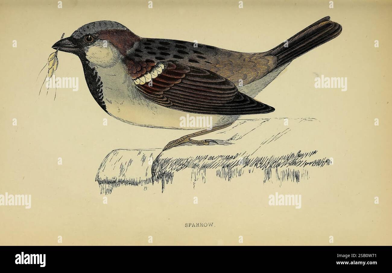 Accentuated hues highlight hi-res stock photography and images - Alamy