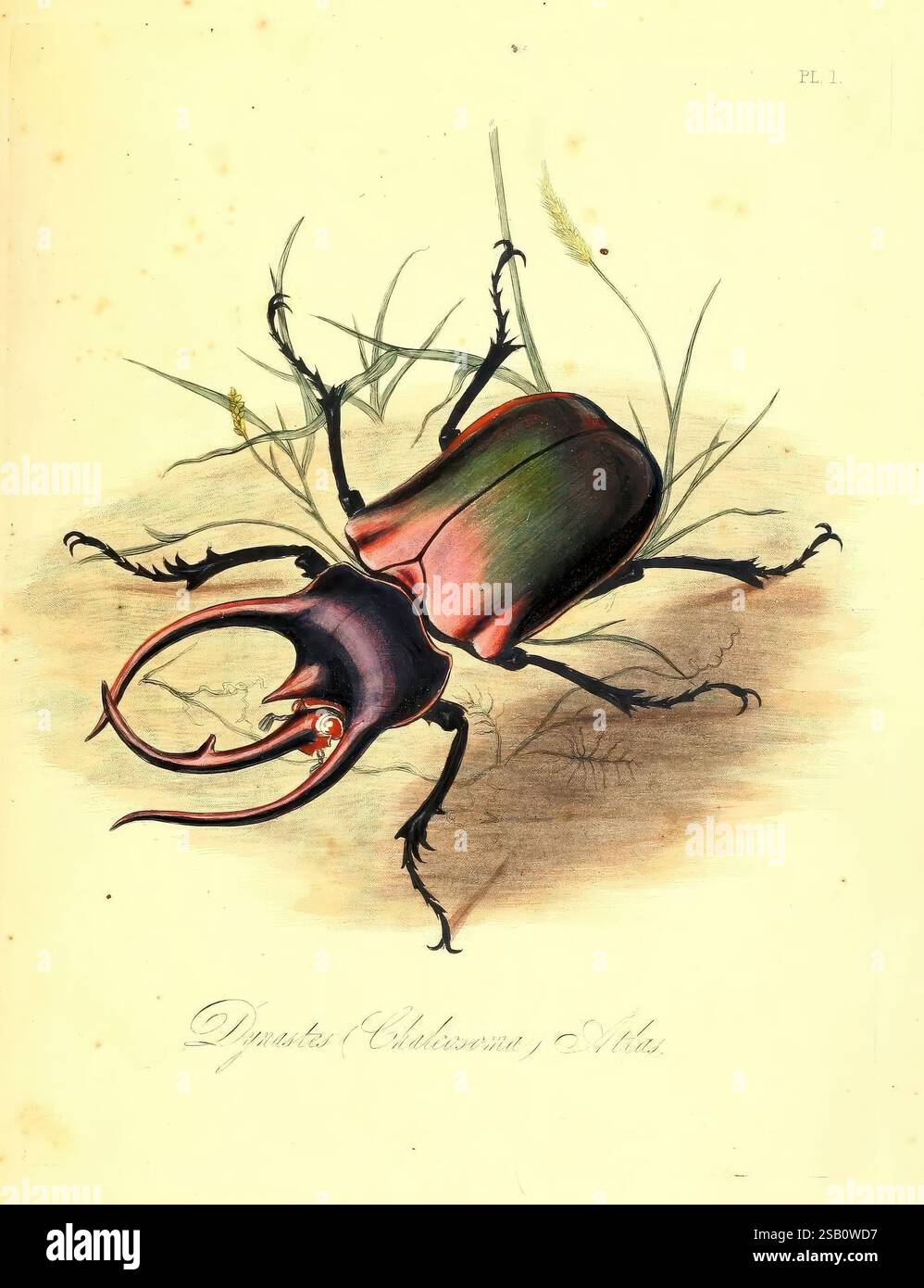 Formidable manner hi-res stock photography and images - Alamy