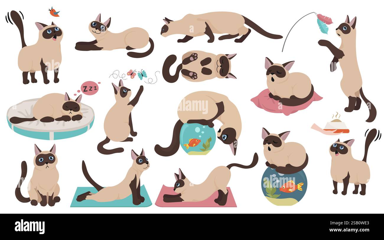 Cartoon cat characters collection. Different cat`s poses, yoga and ...