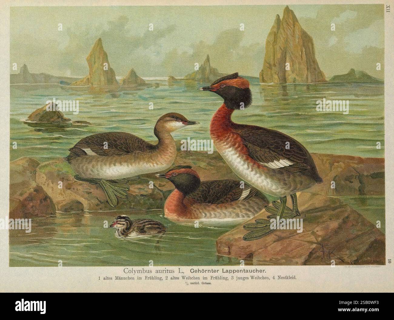 Backdrop features rocky formations emerging hi-res stock photography ...