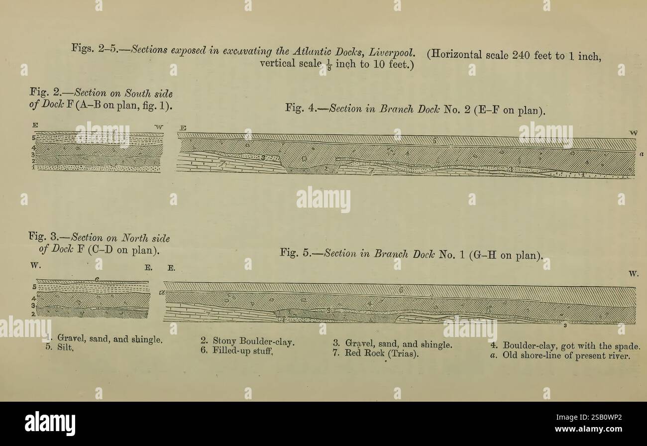 Cross sectional diagrams detailing hi-res stock photography and images ...