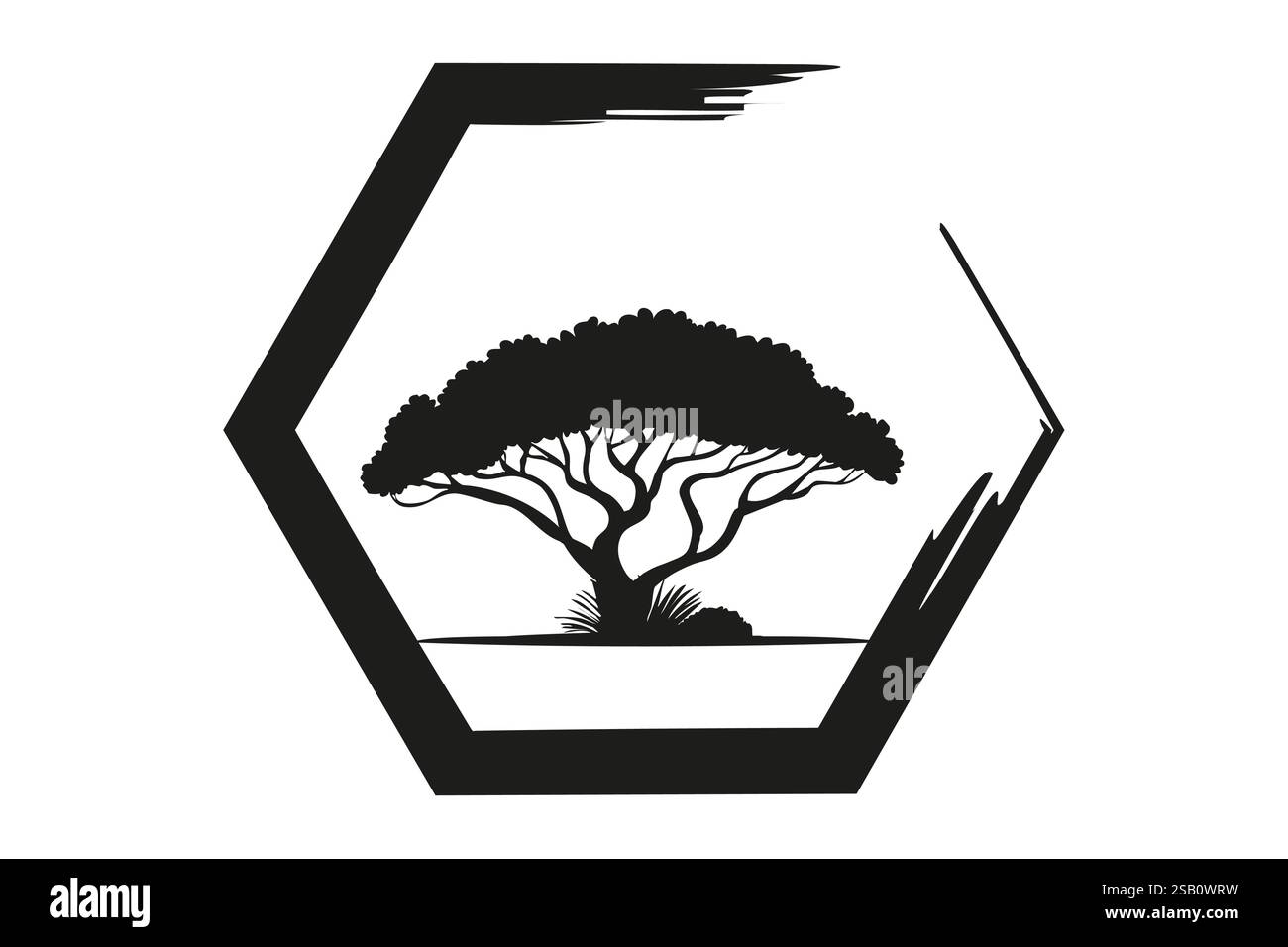 Acacia tree icon silhouette. African logo, Nature, exotic plant for ...