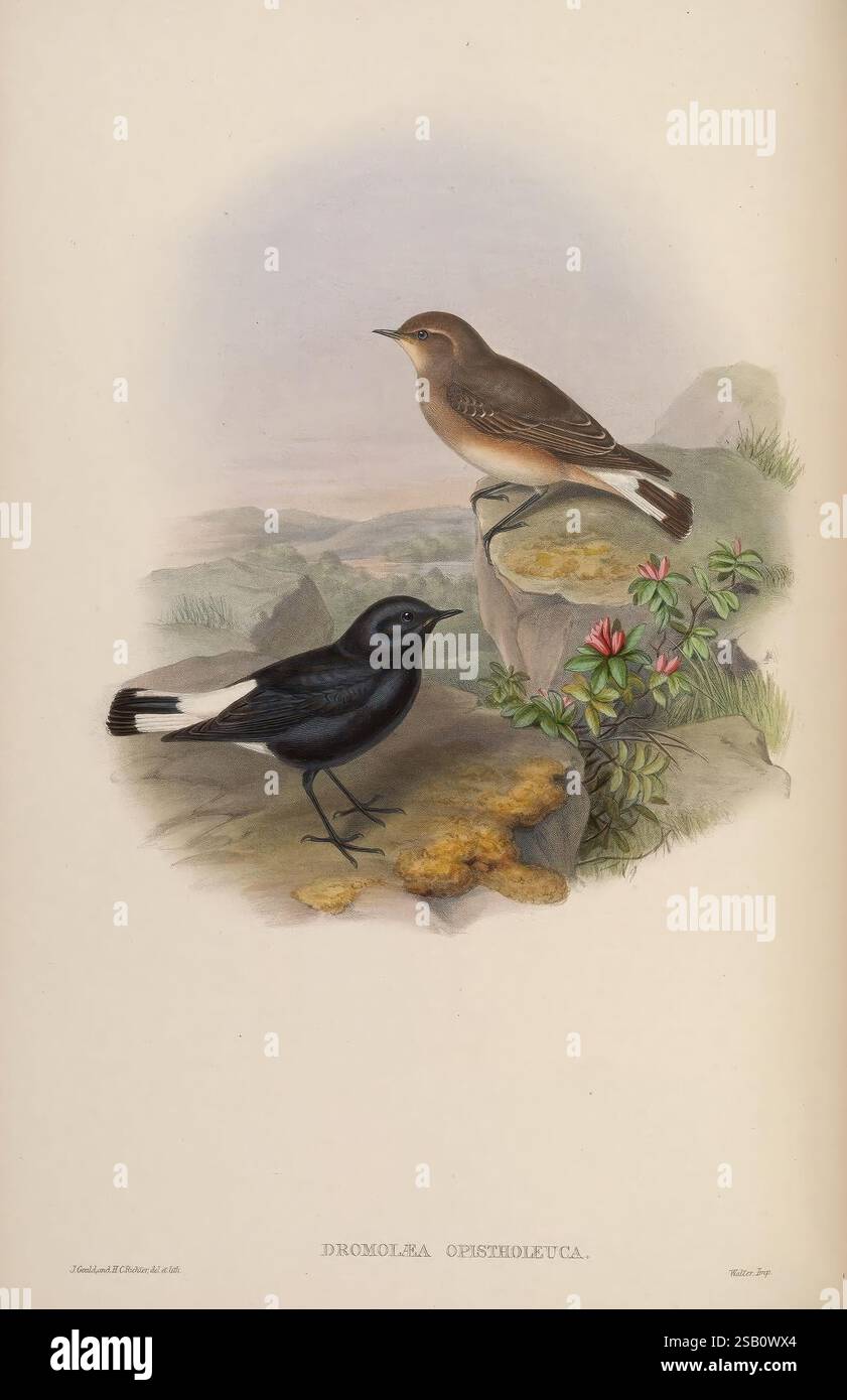 Rocky ledge amidst hi-res stock photography and images - Alamy