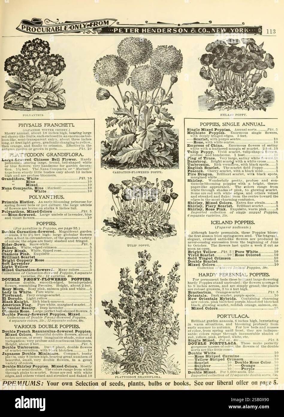 Everything for the garden, New York, Peter Henderson & Co, 1902 ...