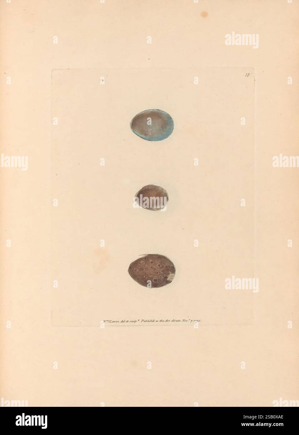 Three distinct oval shapes hi-res stock photography and images - Alamy