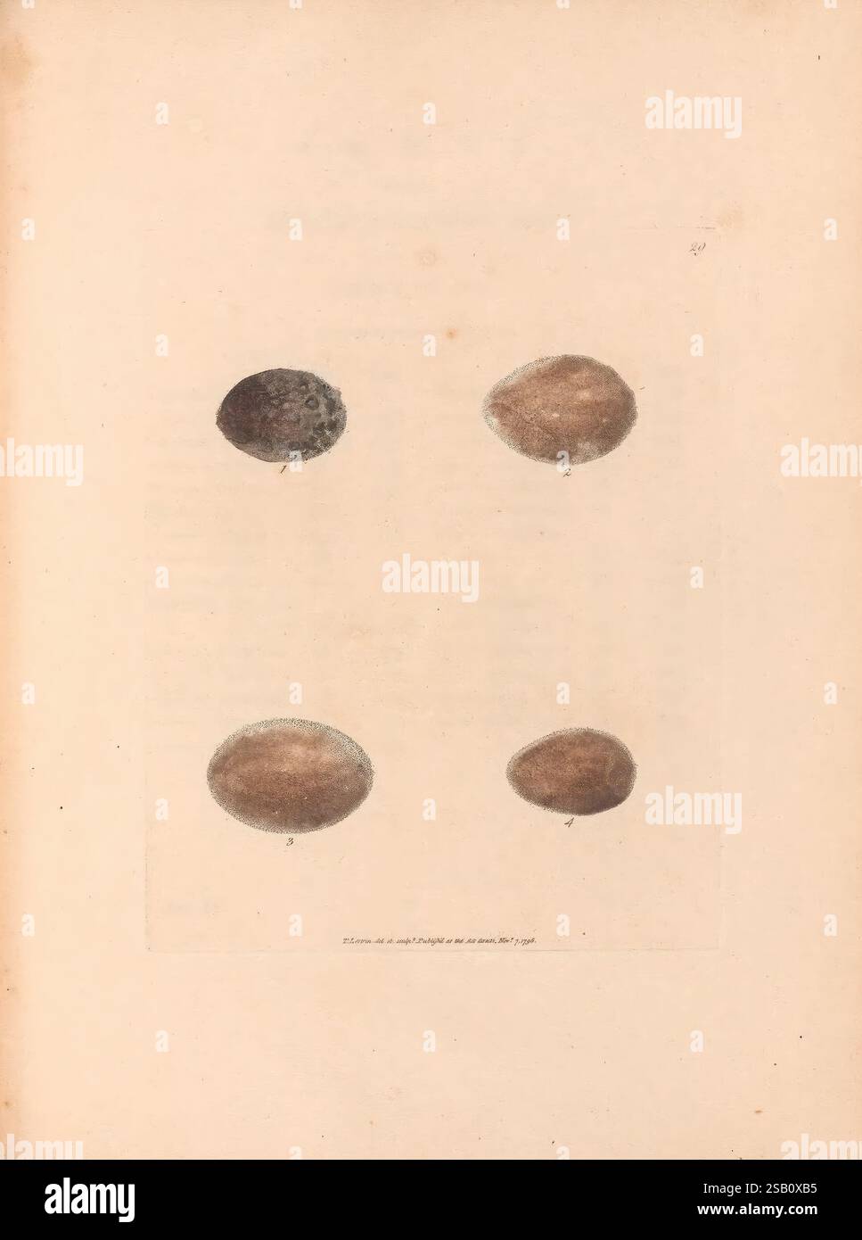 Faint number indicating hi-res stock photography and images - Alamy