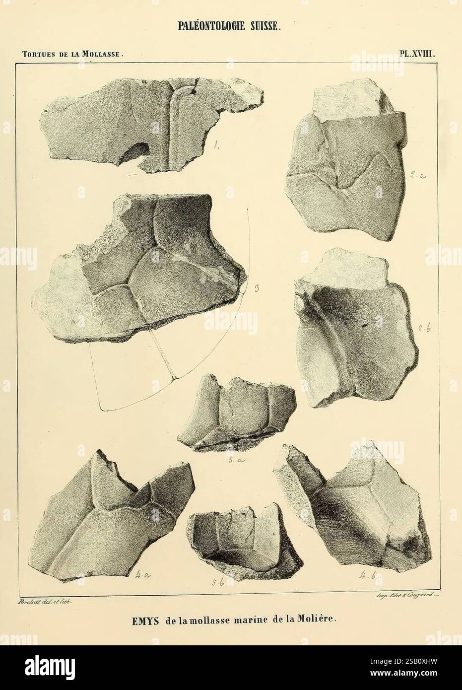 Revealing various angles hi-res stock photography and images - Alamy