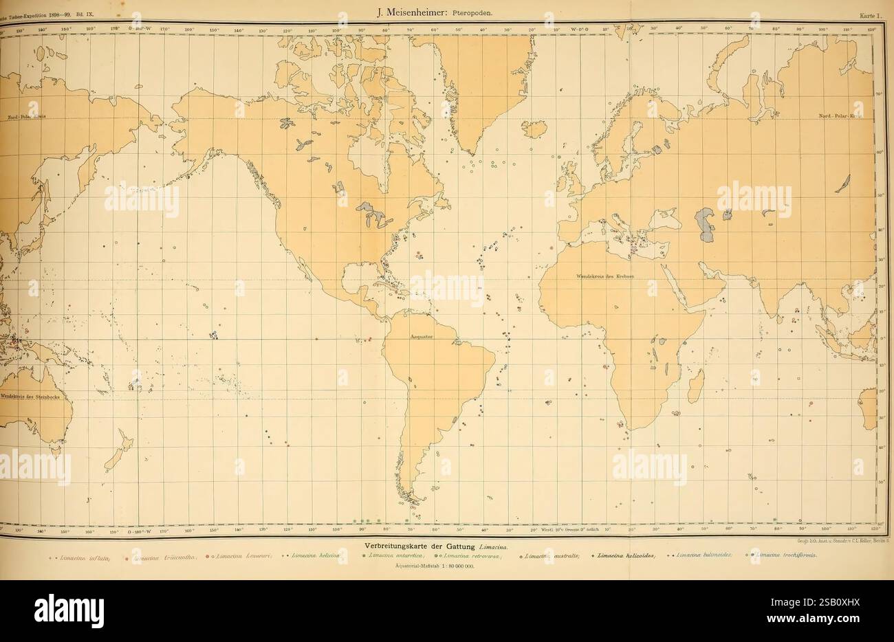 Continents map symbols hi-res stock photography and images - Alamy