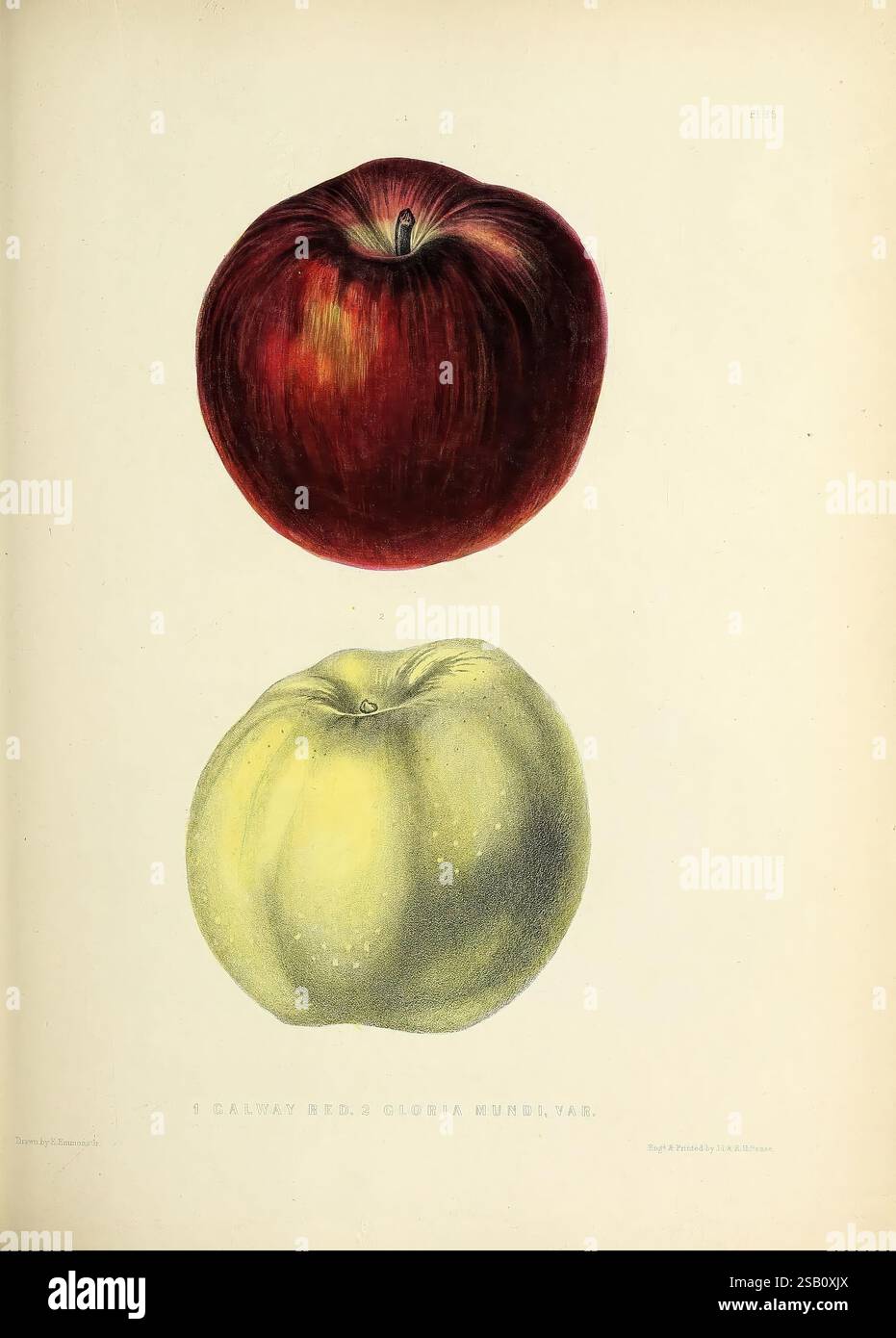 Slightly blotchy texture hi-res stock photography and images - Alamy