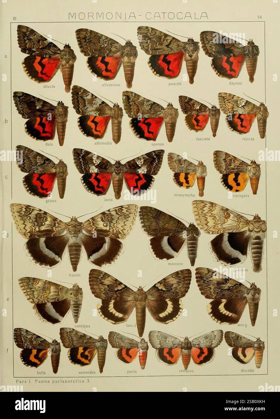 Alongside various shades hi-res stock photography and images - Alamy