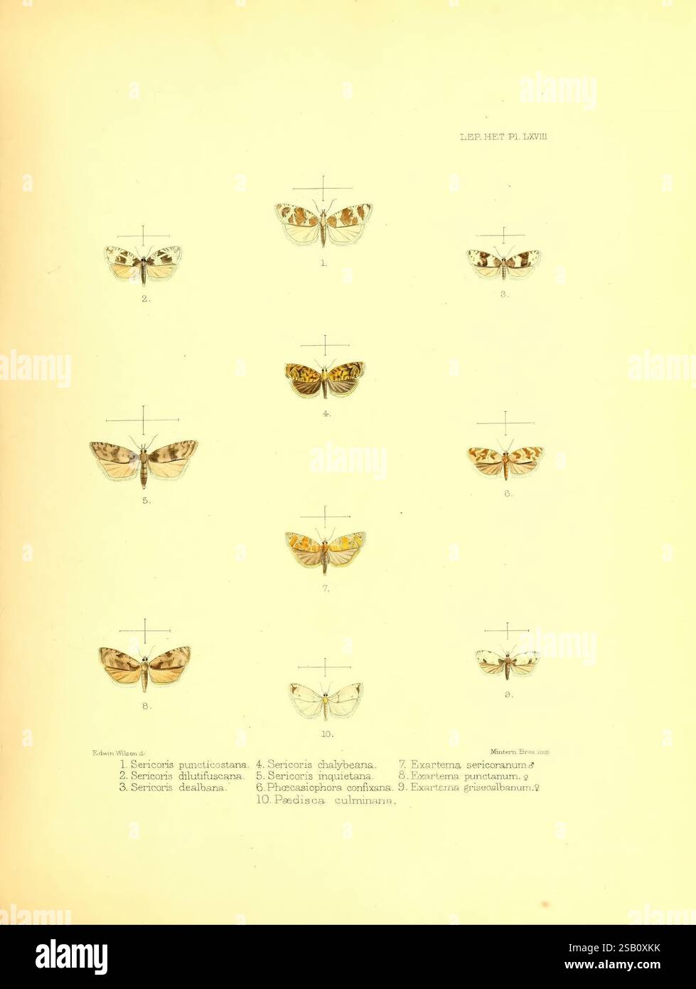 Systematic grid formation hi-res stock photography and images - Alamy