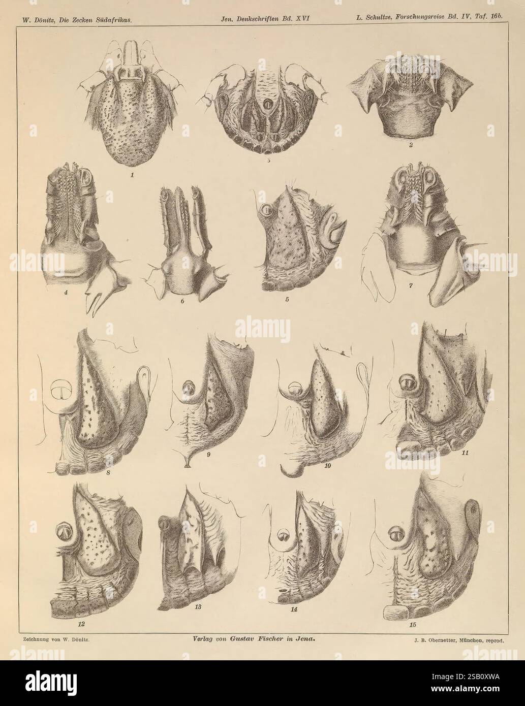 Labeled section exhibits different views hi-res stock photography and ...