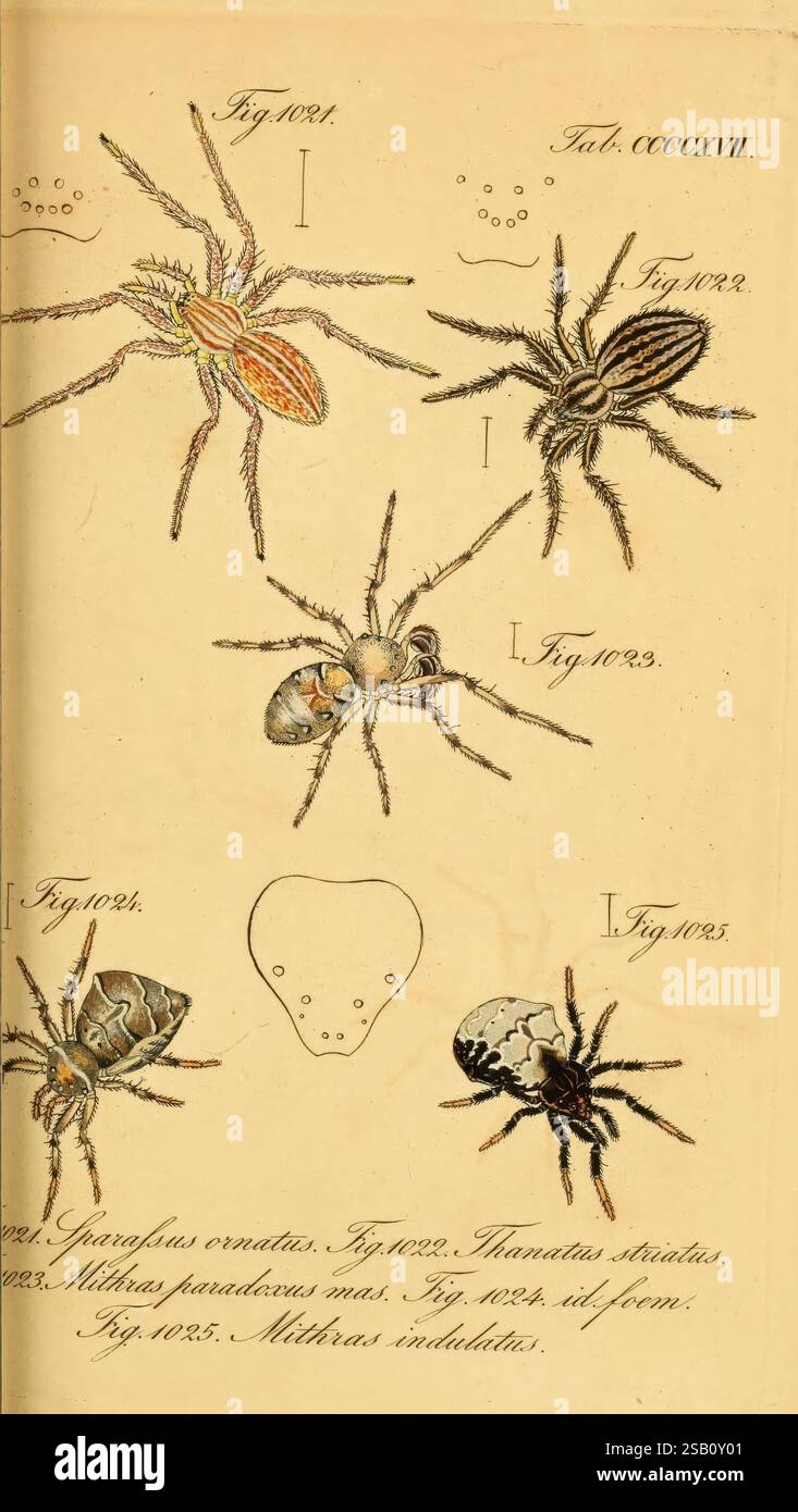 Shown alongside two hi-res stock photography and images - Alamy