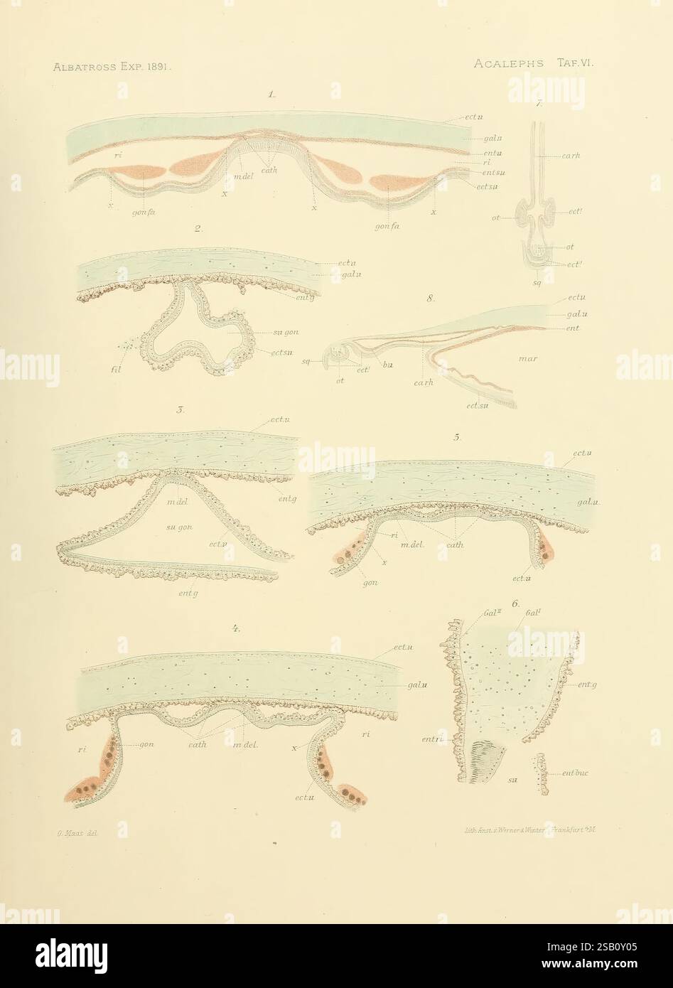 Section meticulously illustrates hi-res stock photography and images ...