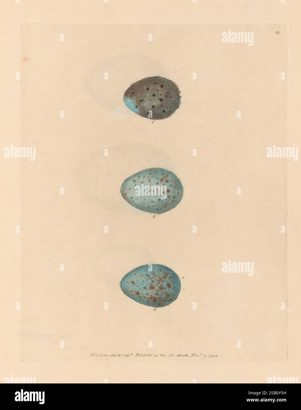 Middle egg exhibits hi-res stock photography and images - Alamy