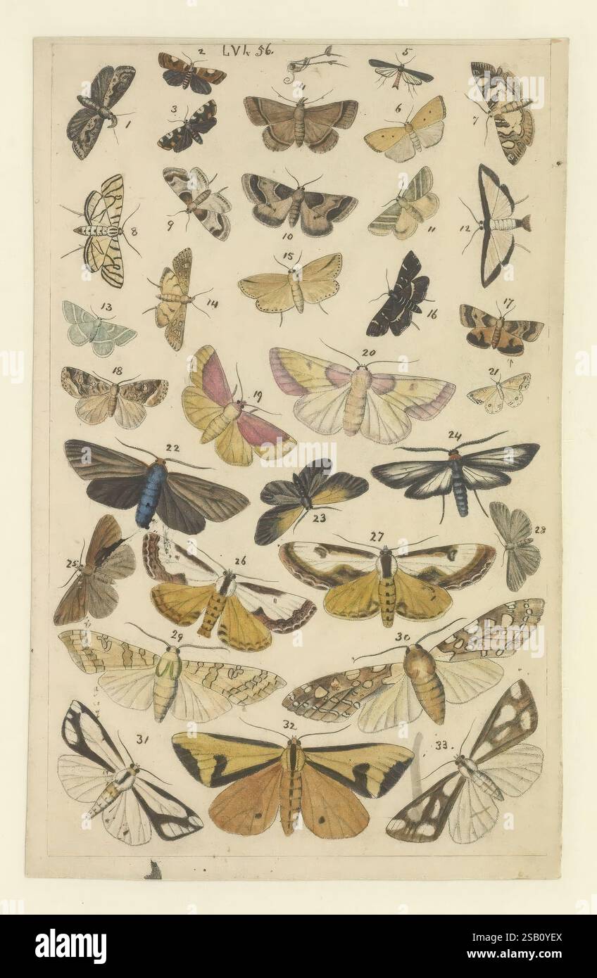 Systematic cataloging process hi-res stock photography and images - Alamy