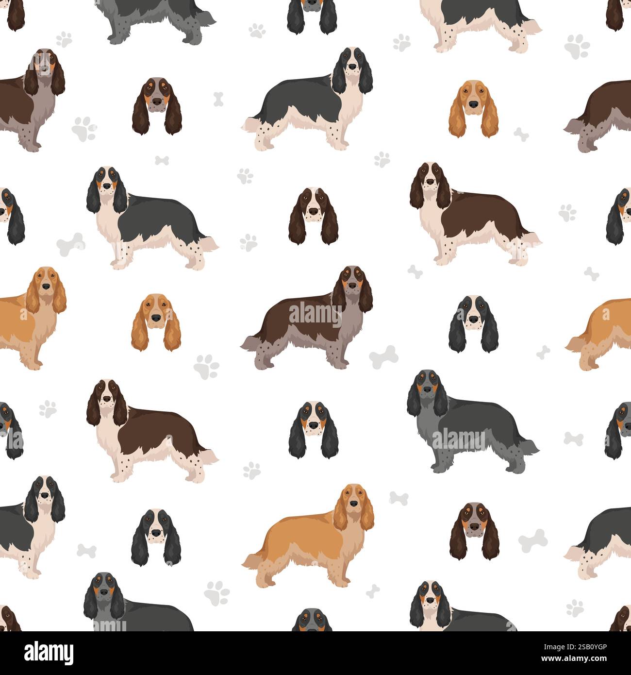 English springer spaniel show-bred seamless pattern. Different poses ...