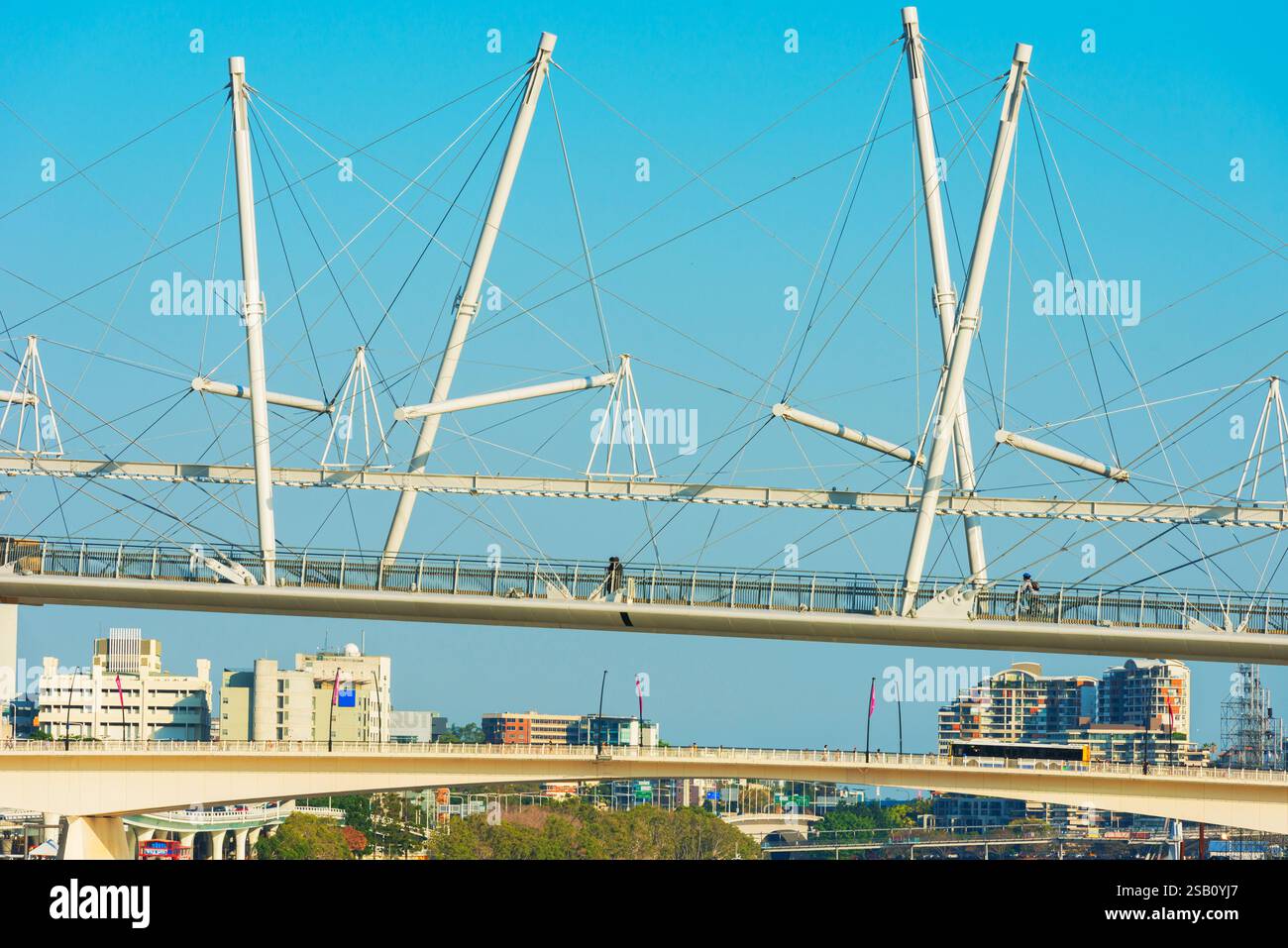 Kurilpa bridge, footbridge crossing the Brisbane River, Brisbane ...